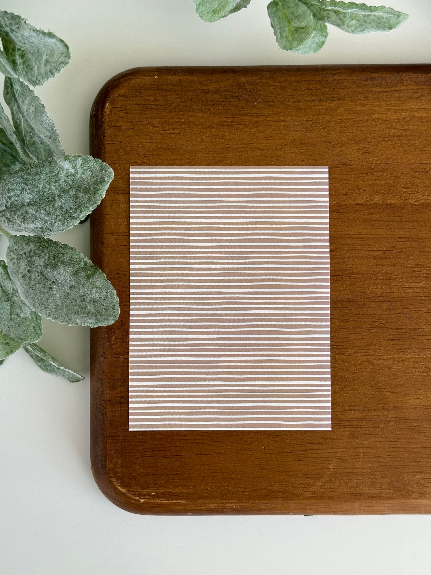 Bold Tan Lines | DD20 | Image Transfer Paper – Bloom Mercantile